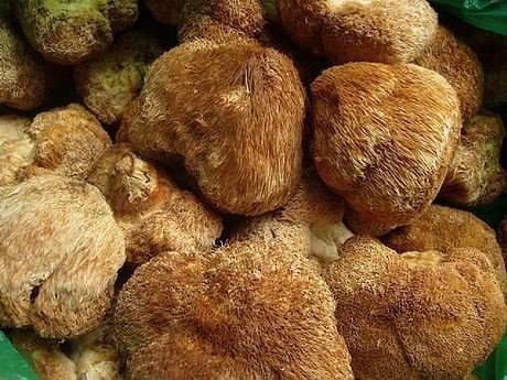 Natural Lions mane mushroom extract,Hericium Extract, Hericium Erinaceus Extract 20%,4:1