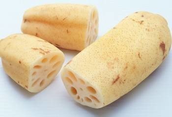 100% natural Nelumbo nucifera G. root extract, lotus root extract 10:1 TLC