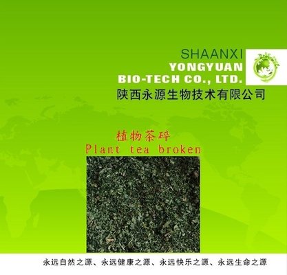 Yongyuan Bio. supply Pure natural with no added new product-plant tea broken/tea bag