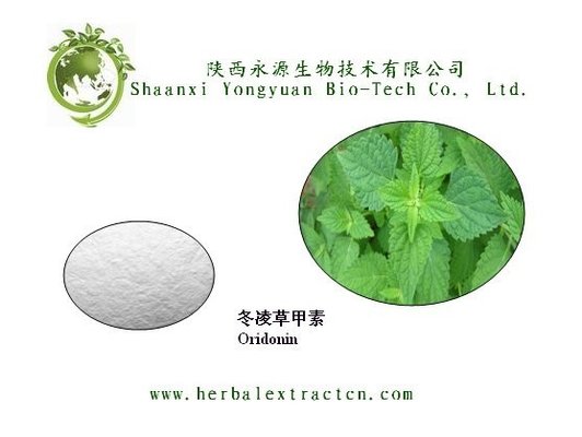 Best Quality Natural anti-cancer product Oridonin 98-99%HPLC/ Rabdosia rubescens extract