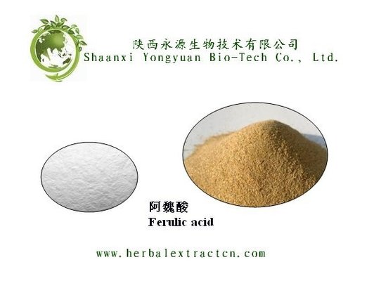 2017 Supplying Natural Rice Bran Extract Ferulic 98%HPLC