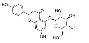 100% Natural High Quality 98%HPLC factory supply Phlorizin