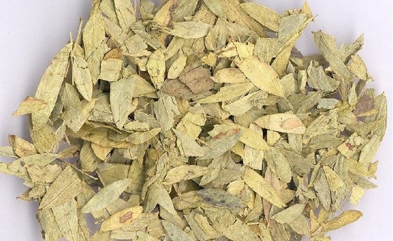 High quality Sanna Leaf Extract/ Sennoside 10:1,Sennoside 8%