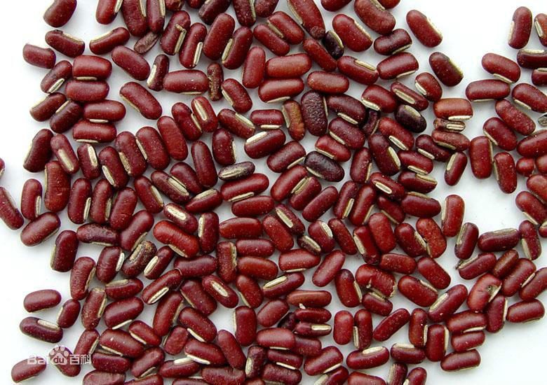 Good Quality Vigna angutaris Extract/Bean Extract/ Vigna Umbeuata Ohwi et Ohashi Extract