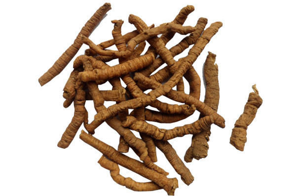 China Polygala Root P.E., Polygala tenuifolia root Extract, Thinleaf Milkwort Root Extract
