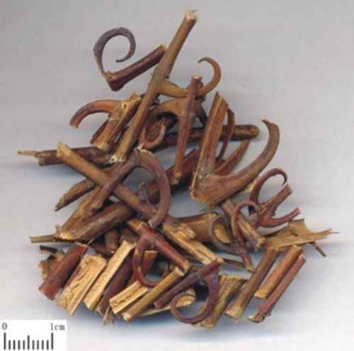 Best 5:1 Uncaria tomentos Extract/ Uncaria rhynchophylla extract/Uncaria tomentos P.E.