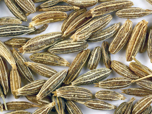 hot sell Cuminum cyminum extract, cumin extract, Cumin Seeds Extract, Black Cumin Extract