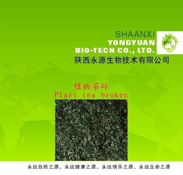 Yongyuan Bio. supply Pure natural with no added new product-plant tea broken/tea bag
