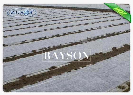 Recycle Compostable Garden Weed Control Fabric Spunbond in Seasame Dot