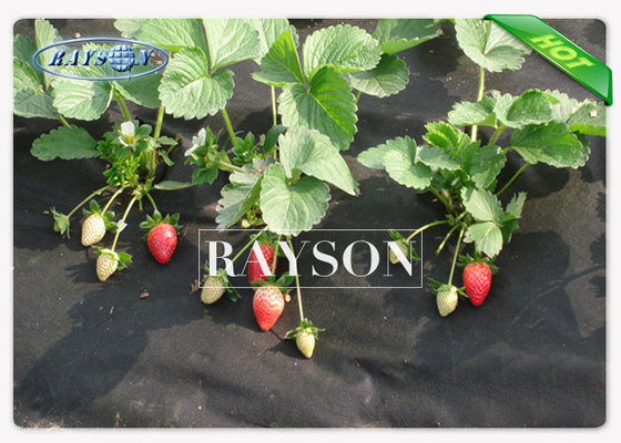 Biodegradable Spunbond Non Woven Landscape Fabric For Anti - Grass