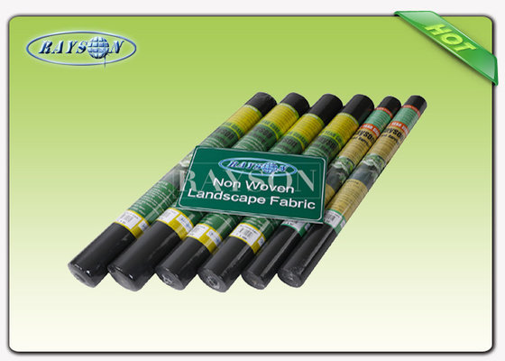 Good strength black spun bonded Garden Weed Control Fabric / ground weed control fabric