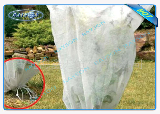White 100% Virgin Polypropylene Plant Protection Fleece For Ground Cover