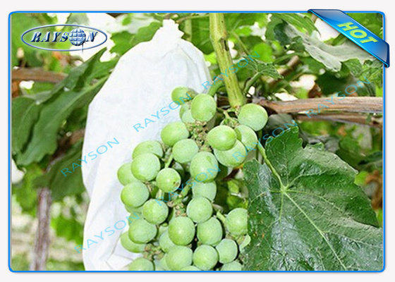 20GSM Pest Control Spunbond Non Woven Vegetable Garden Cover Non Toxic / Biodegradable