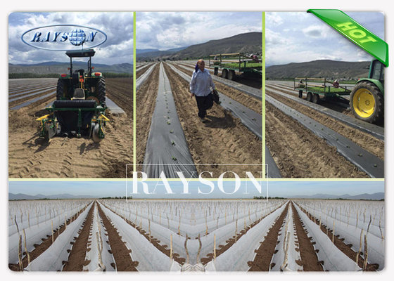 White 100% Virgin Polypropylene Plant Protection Fleece For Ground Cover