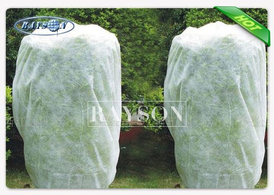 28gsm Non Woven Frost Protection Fleece with UV - Resistance for Farm