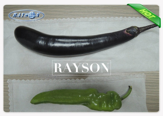 20GSM Pest Control Spunbond Non Woven Vegetable Garden Cover Non Toxic / Biodegradable