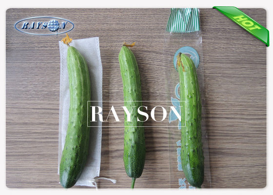 20GSM Pest Control Spunbond Non Woven Vegetable Garden Cover Non Toxic / Biodegradable