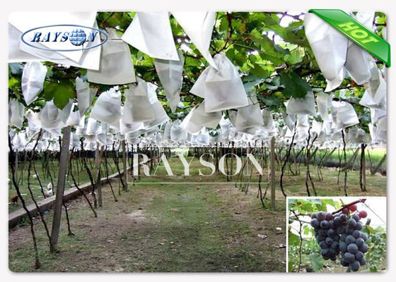 Agriculture Industry Use Non Woven Fruit Protection Bag Keep From Worms Bitting
