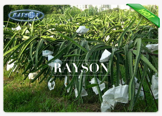 SGS Certificate Breathable Spunbond Non Woven Cultivation Bag with UV Treated for Farmland