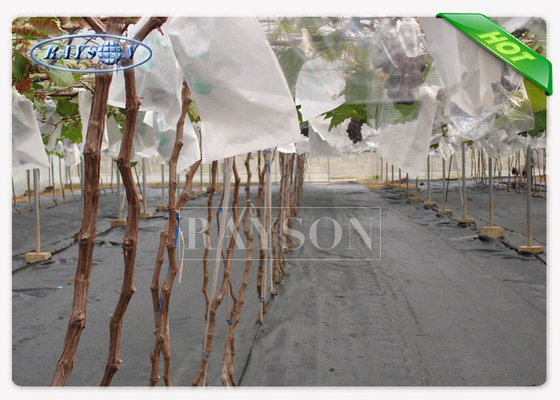 SGS Certificate Breathable Spunbond Non Woven Cultivation Bag with UV Treated for Farmland