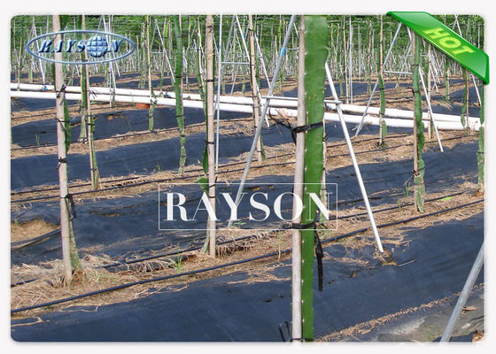 Black Landscape Fabric UV Protection Spunbond Non Woven Landscape Cloth