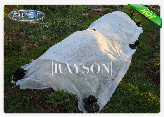 Waterproof Agriculture Spunbond Frost Protection Fleece with Oekotex Certificate