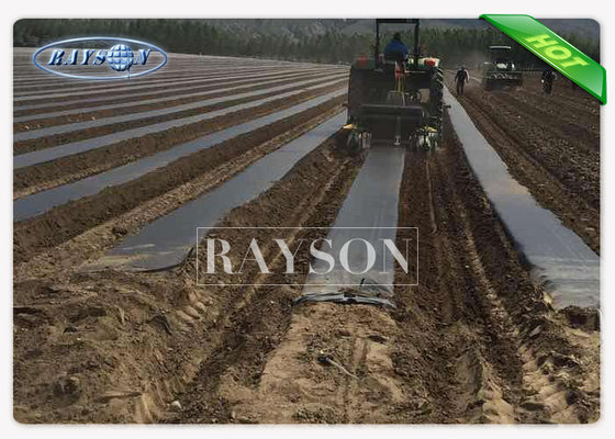 Biodegradable Garden Weed Control Fabric for Agriculture Spunbond Non Woven