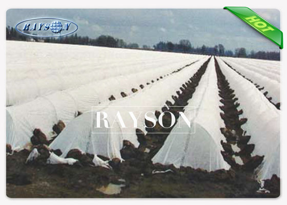 UV Ttreated PP Spunbond Frost Protection Fleece Biodegradable Landscape Fleece 40gram