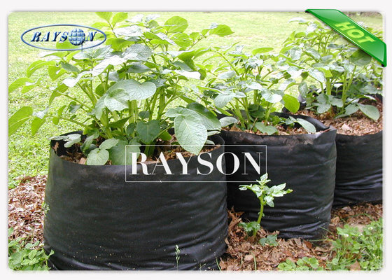 Hydrophilic White Color Non Woven Agricultural Textiles Bag , Disposable Fabric Material