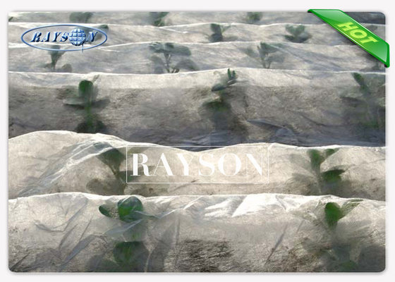 Breathable Spunbond Anit Frost Protection Fleece Frost Cover Non Woven Fabric Width 25.6m