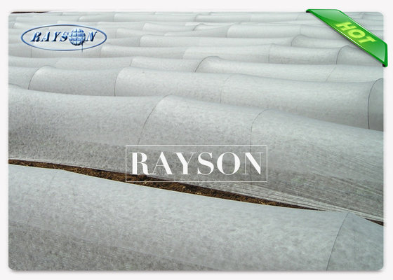 Agriculture Winter Frost Protection Fabric Spunbond Air Prmeable Non Woven / Spunbonded Technics