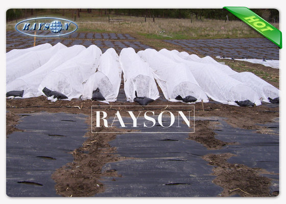 Reinforced Edges Technology Garden Weed Control Fabric Weed Block Fabric For Horticultural Sector
