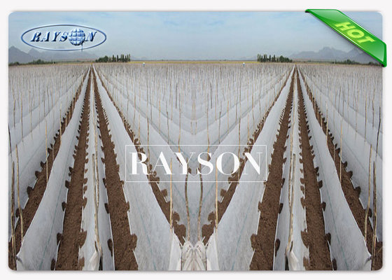100% Virgin Polypropylene Extra White Hight Strength Fleece Bags for Plants Protection In 17 GSM