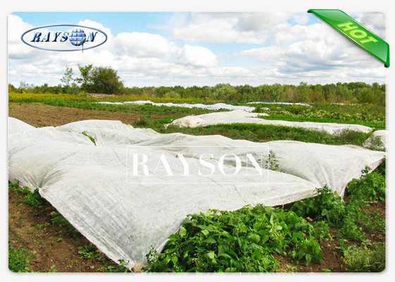 Reinforced Edges Technology Garden Weed Control Fabric Weed Block Fabric For Horticultural Sector