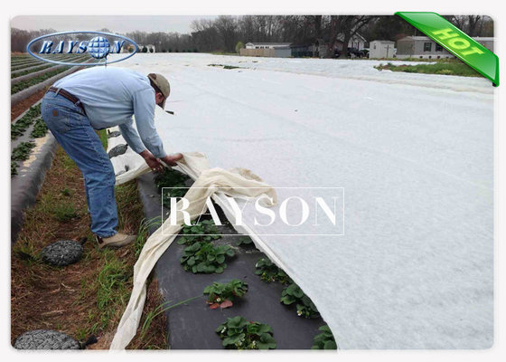 Reinforced Edges Technology Garden Weed Control Fabric Weed Block Fabric For Horticultural Sector