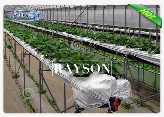 Witer Season Fruit Protection Bag PP Spunbond Non Woven Material for Frost Fleece
