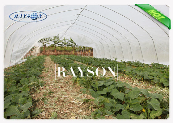 100% Virgin Polypropylene Extra White Hight Strength Fleece Bags for Plants Protection In 17 GSM