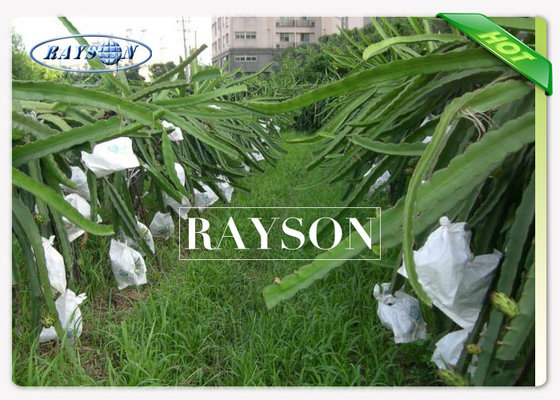 17-50 GSM  UV Treatment Garden Weed Control Fabric for Vegetable / Fruit Farm