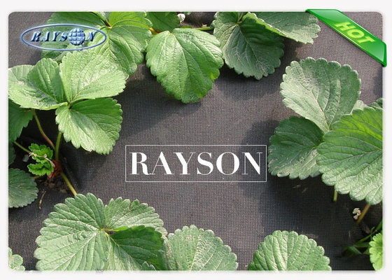 Hight Strength 17gsm 1.6m / 1.8m Width Heavy Duty Weed Control Matting in White Color