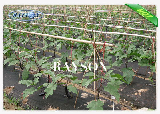 Black Weed Control Mat Garden Weed Control Fabric 100% Virgin Polypropylene