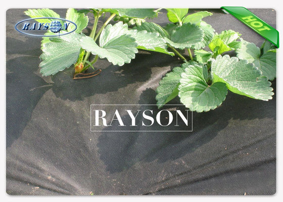 Hight Strength 17gsm 1.6m / 1.8m Width Heavy Duty Weed Control Matting in White Color