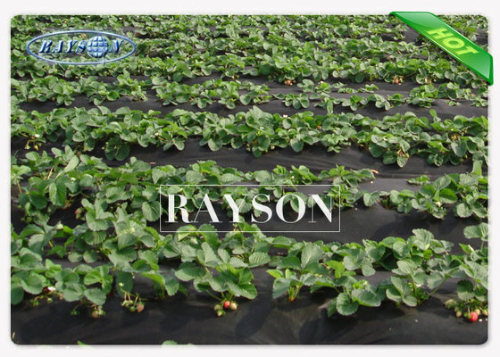 Flexible Durable Tear Resistant Biodegradable Landscape Fabric for Garden