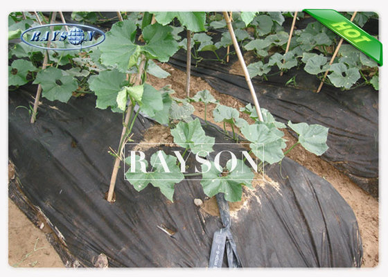 100% Virgin Polypropylene Super Wide Non Woven Landscape Fabric Hight Strength