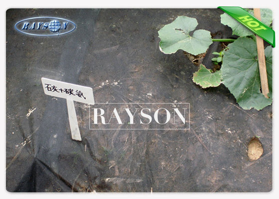 50GSM Agricultural Weed Block Landscape Fabric , Garden Weed Fabric