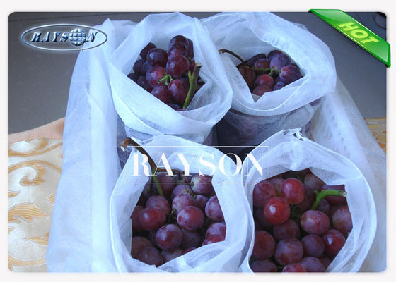 Anti - UV biodegradable and breathable non woven cultivating bag for banana / grap / mango