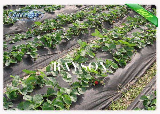 Water Repellent Non Woven Landscape Fabric Polypropylene Fabric with SGS Certificate