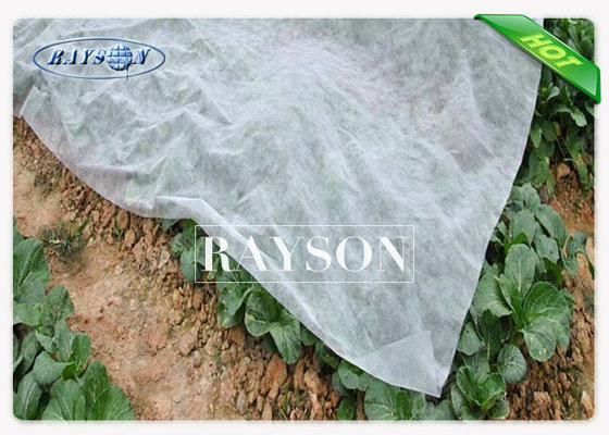 UV Resistant PP Non Woven Fabric For Frost Protection Fleece Agricultural Use