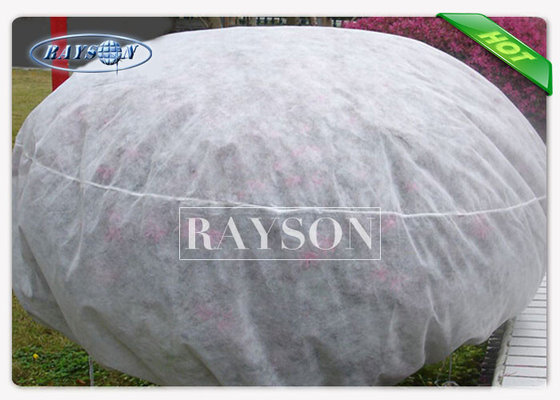 17GSM 320cm Width Frost Protection Fleece With Customer Label / Neutral Label For Tree Cover