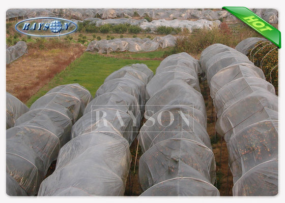 UV 1% Breathable 34g Garden Weed Control Fabric Non Woven Crop Cover