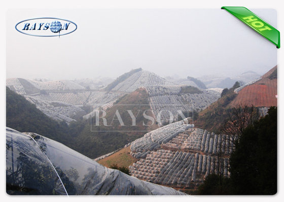 Sunshine Breathable Landscape Textiles Commercial Landscape Fabric in UV Treatment